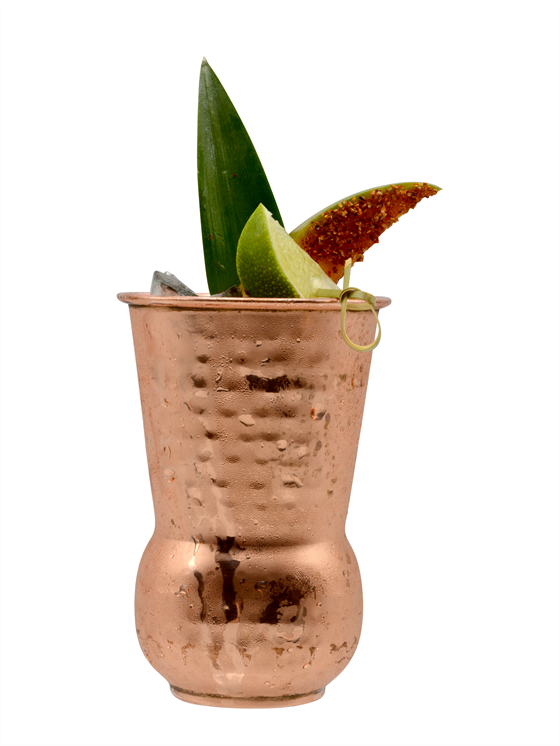 shotgun snap mocktail - Monin Canada